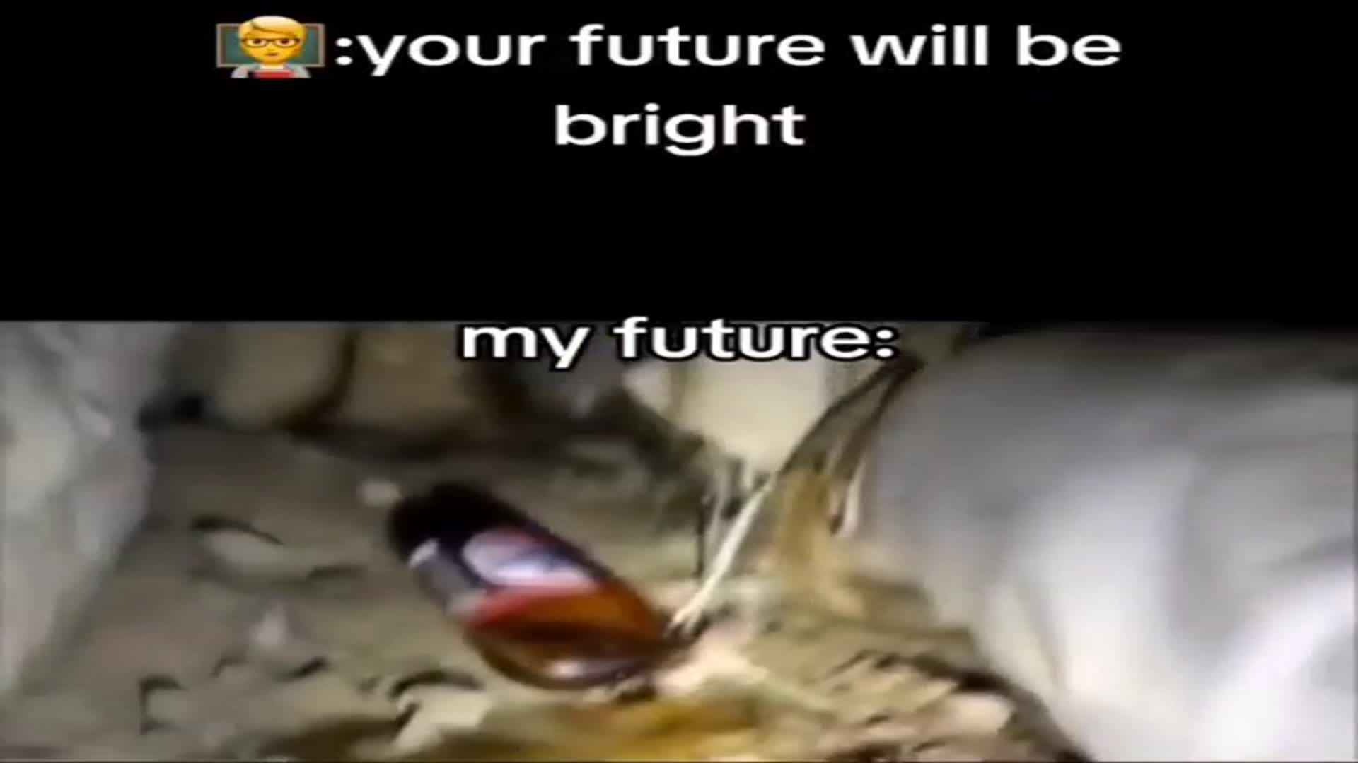 BVAULT